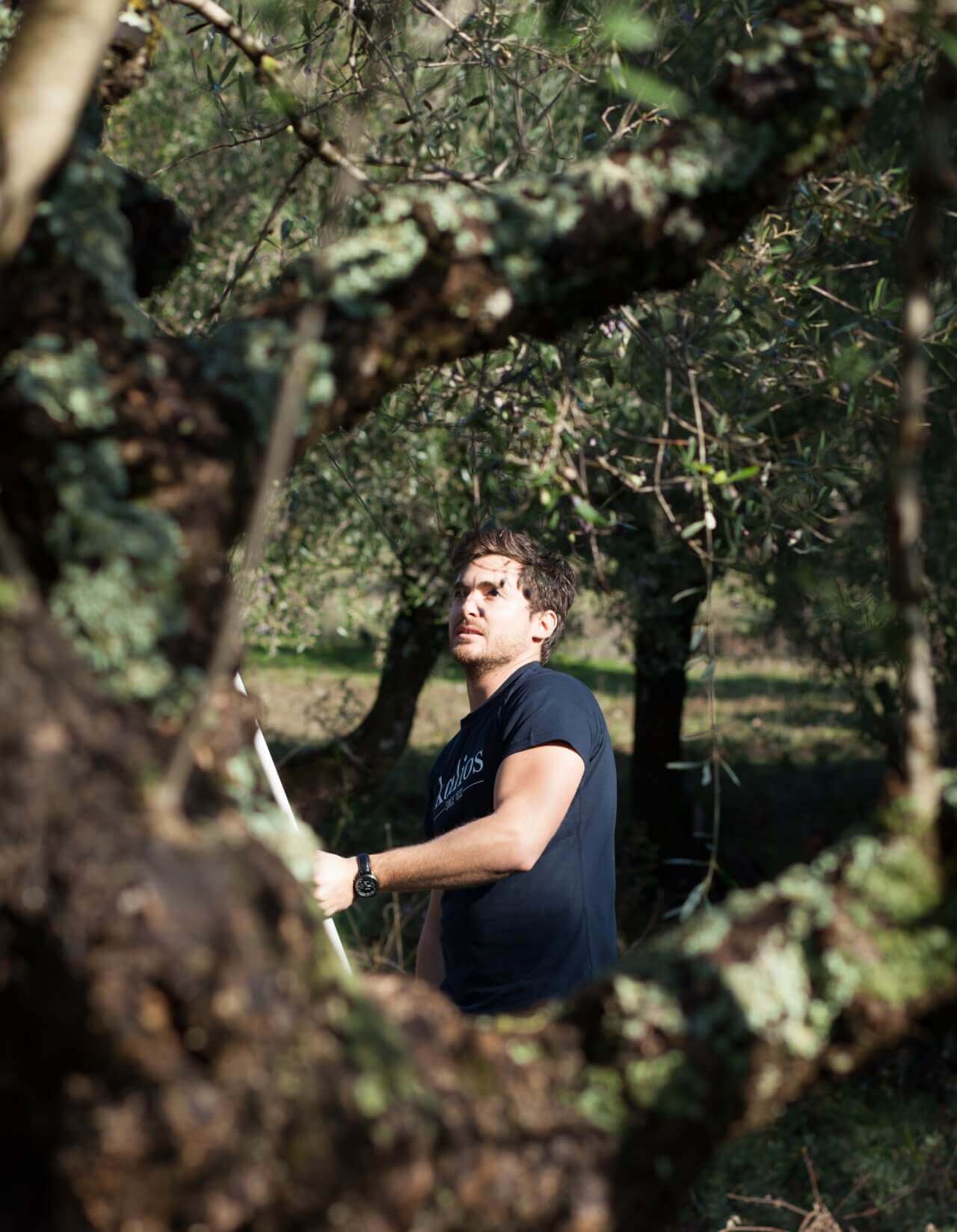 Kalios | Producteur d'Huile d’Olive & spécialités Grecques