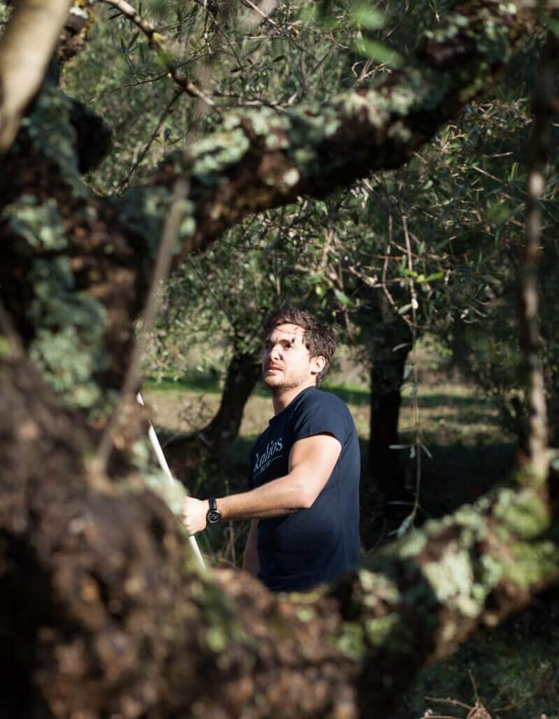 Kalios | Producteur d'Huile d’Olive & spécialités Grecques